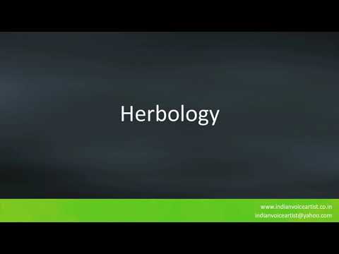 Pronunciation of the word(s) "Herbology".