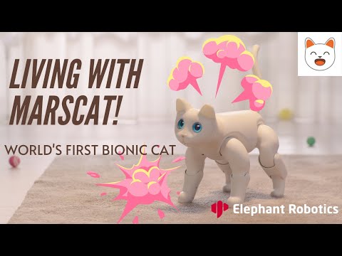Hot Selling Now | MarsCat- A Bionic Cat, A Home Robot.