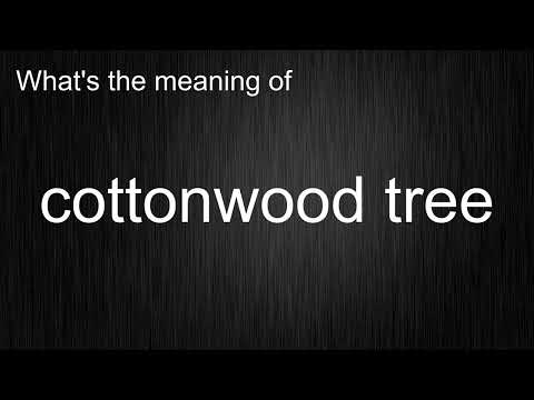 What's the meaning of "cottonwood tree", How to pronounce cottonwood tree?