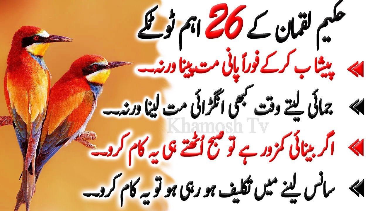 🌸 3 Haram Acts in Intimacy Every Muslim Couple Must Avoid (Islamic ...