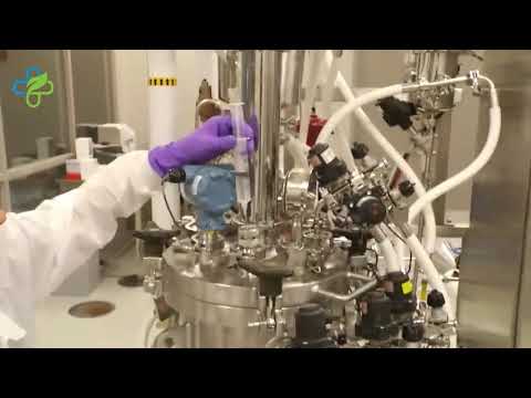 MDI Research Facilities Are Unsung Heroes Around the Globe.