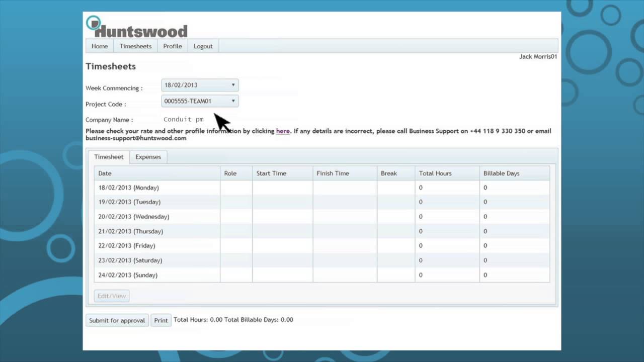 User tutorial - Online timesheet system