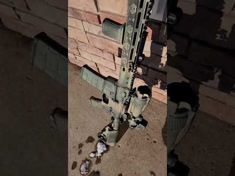 Spray Paint or Pro Cerakote for your Rifle Camo? 🎨 🔫 🔥 #shorts #ar15 #spraypaint #cerakote