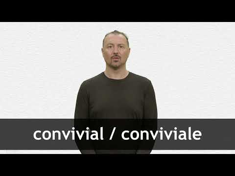 English Translation of “CONVIVIAL” | Collins French-English Dictionary