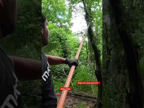 FISKARS POLE SAW WORKS GREAT! #shorts