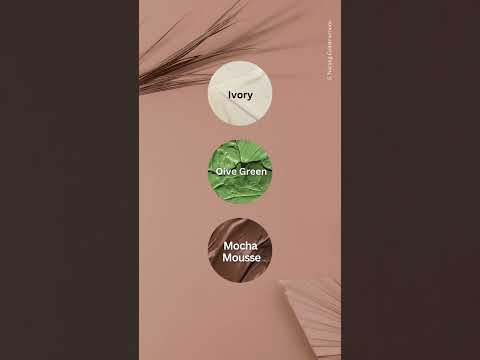 Pantone's Color of the Year - Mocha Mousse #pantone #coloroftheyear #trendingcolors