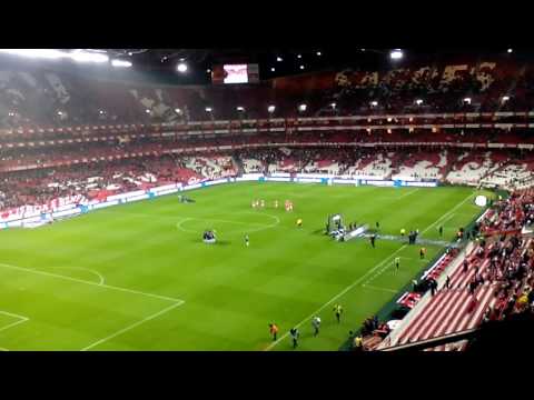 Jogo Benfica vs Marítimo em 2015