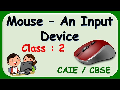 Mouse – An Input Device || Class : 2 || Computer || CAIE / CBSE ...