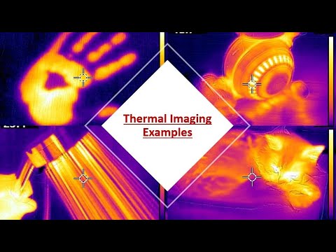 Thermal Imaging - Interesting Examples