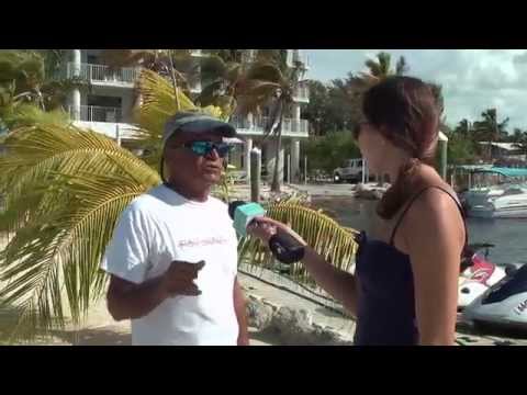 A1A WATERSPORTS / OUT AND ABOUT