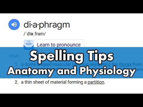 Spelling Tips | Anatomy and Physiology