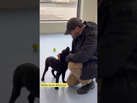 GreaterGood CEO, Tim Kunin, Delivers Blankets To Ukraine Animal Shelter