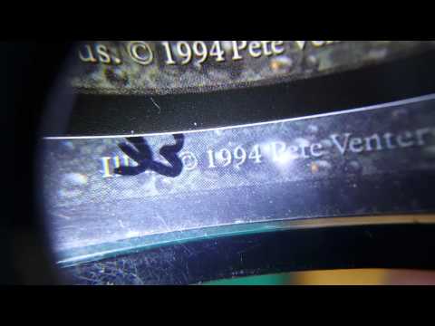 How to spot fake proxy MTG MAGIC card. Authentication Authenticate