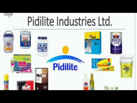 Pidilite Industries Ltd | fevicol | Dr.fixit | Mseal | feviquik | frvistick