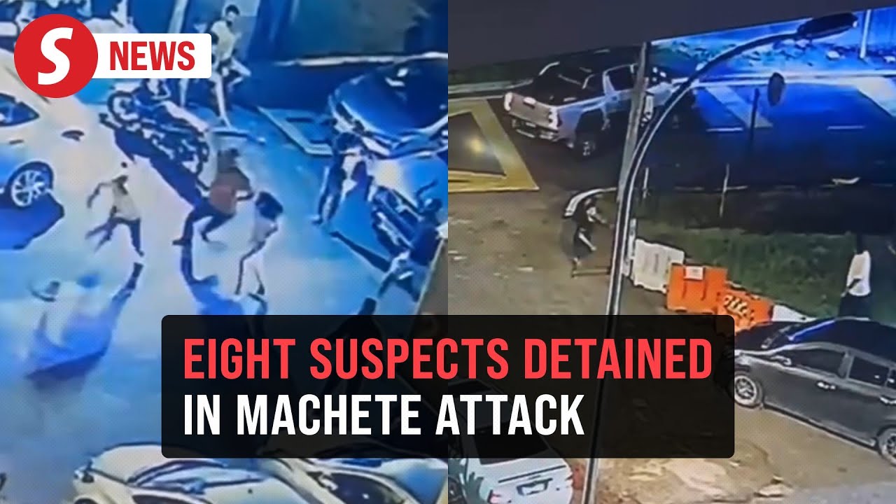 Eight arrested in connection with machete attack in Batu Caves