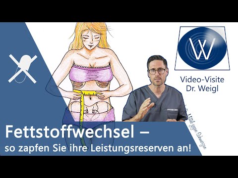 Fettstoffwechsel anzapfen & Fettverbrennung steigern 🔝 Mehr Ausdauer, mehr Energie & weniger Gewicht