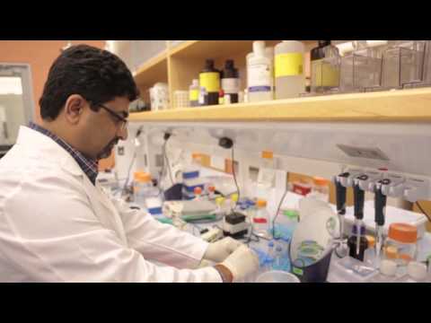 Meet the MCI Researcher: Dr. Ajay Singh, Ph.D.