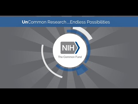 What is the NIH Common Fund?