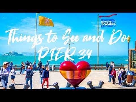 Things to See and Do at Pier 39 | San Francisco
