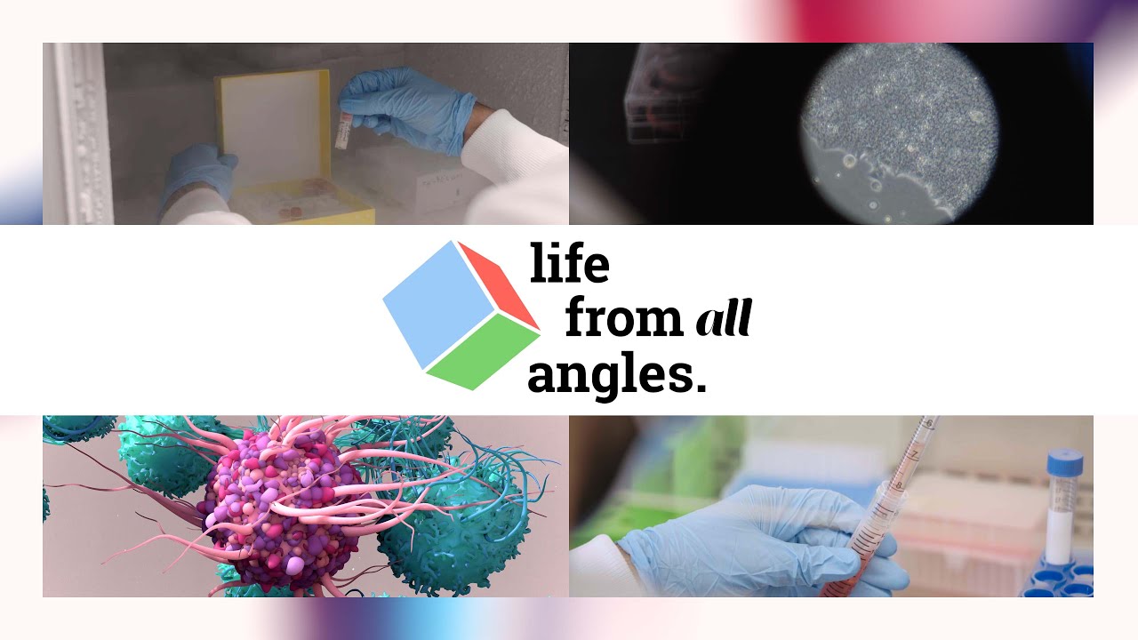 Stem Cell Differentiation Could Lead to Lifesaving Treatments | Life From All Angles