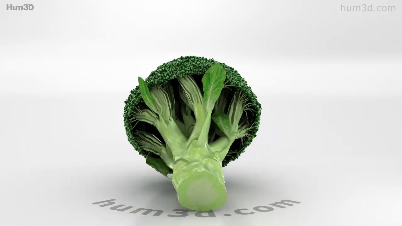 Broccoli 3D model by 3DModels.org