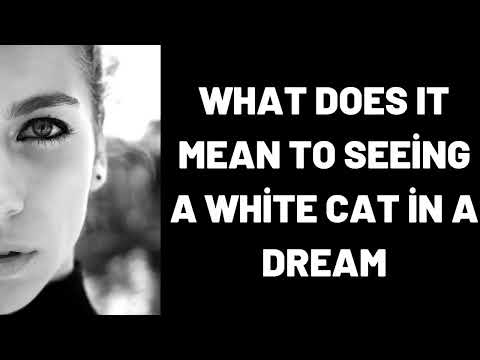 What Does It Mean To Seeing a White Cat in a Dream?