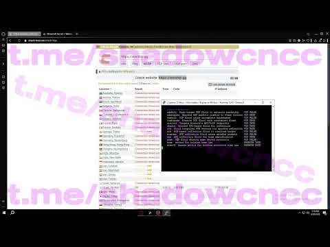 Shadow BotNet 800GB killing shitter website