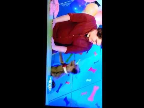 shoe zone cheque children in need