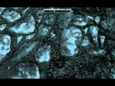 Steam Community :: Video :: ANTS IN SKYRIM!