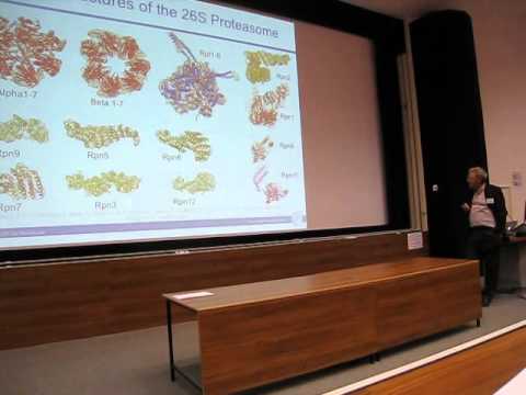 Wolfgang Baumeister's Plenary Lecture, BBS Warwick, 2014