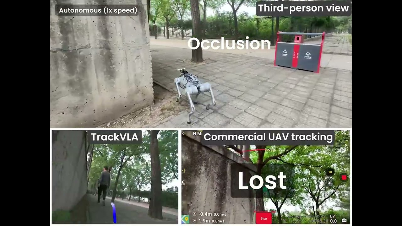 TrackVLA: Embodied Visual Tracking in the Wild