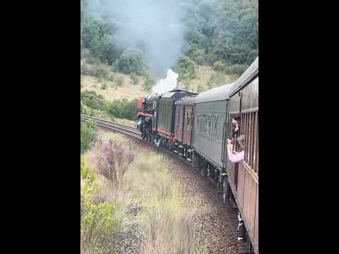 R766: Up the hill, round the curve & into the tunnel #trains #steamtrain