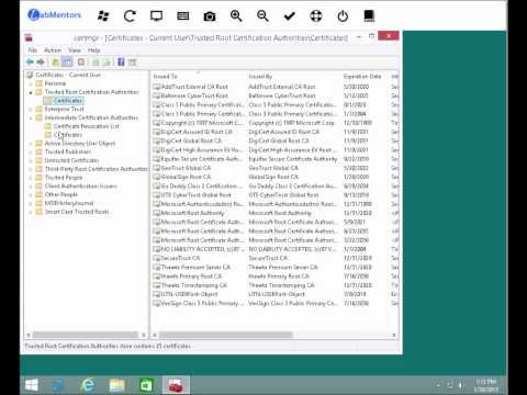 certificate revocation list: how to facilitate and set certificate ...