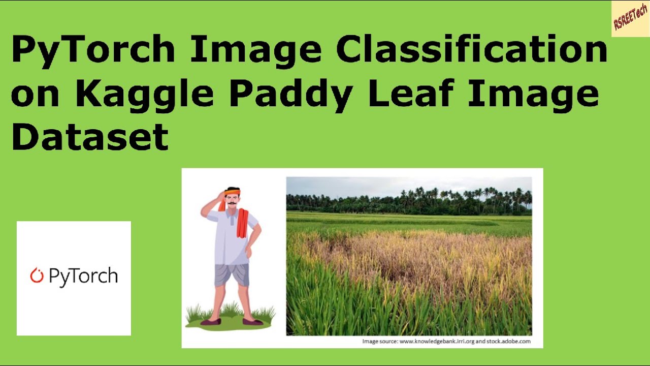 PyTorch Image Classification on Kaggle Paddy Leaf Image Dataset