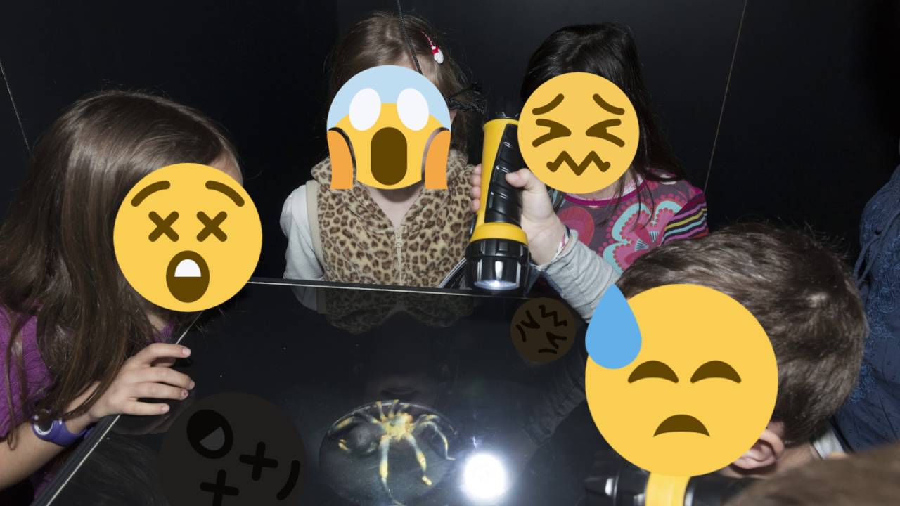 Nuit des Musées 2016:  Zapping n°16 - Musée de la main UNIL-CHUV