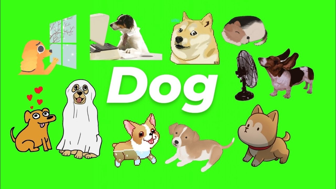 Animated Dog GIF Green Screen Pack (Free Download)