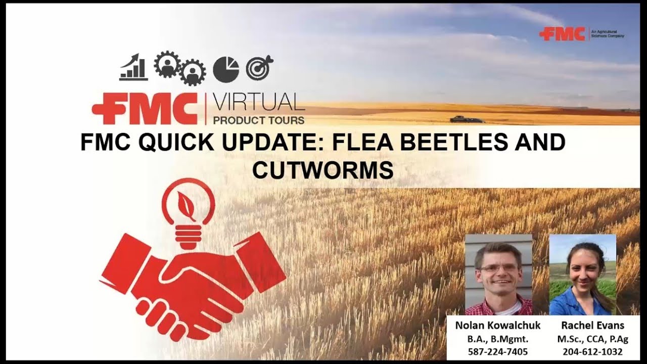 Webinar Flea Beetle & Cutworm Control May2021