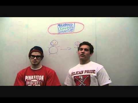 Bio Boyz - Photosynthesis and DNP effects