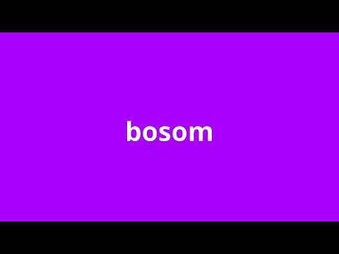 what is the meaning of bosom