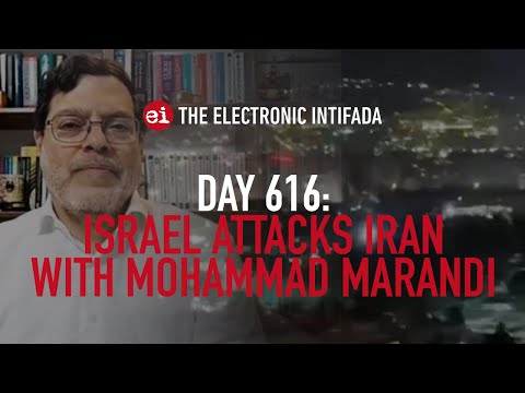 Breaking news and analysis on day 616 of the Gaza genocide | The Electronic Intifada