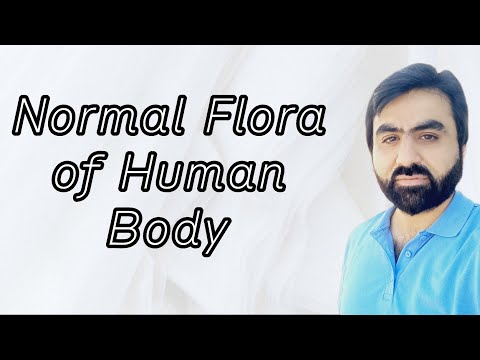 Normal Flora of human body | Normal Microbial flora | Human microbiome | Normal flora | English