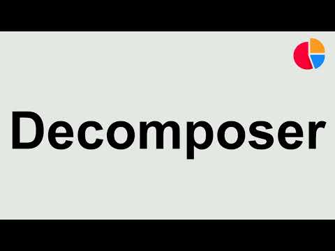 How to Pronounce "Decomposer"