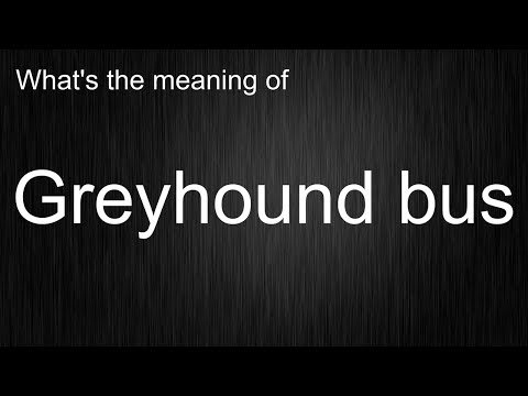 What's the meaning of "Greyhound bus", How to pronounce Greyhound bus?