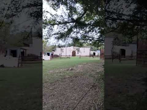 #shorts - Alamo Mission Museum - Mount Vernon Texas