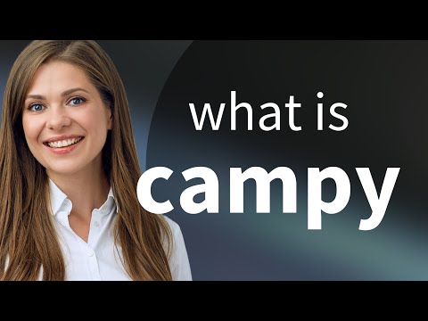 "Campy": Understanding the Flavor of Fun and Kitsch