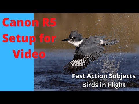 Canon R5: Video setup (bird photography) (4147C002)