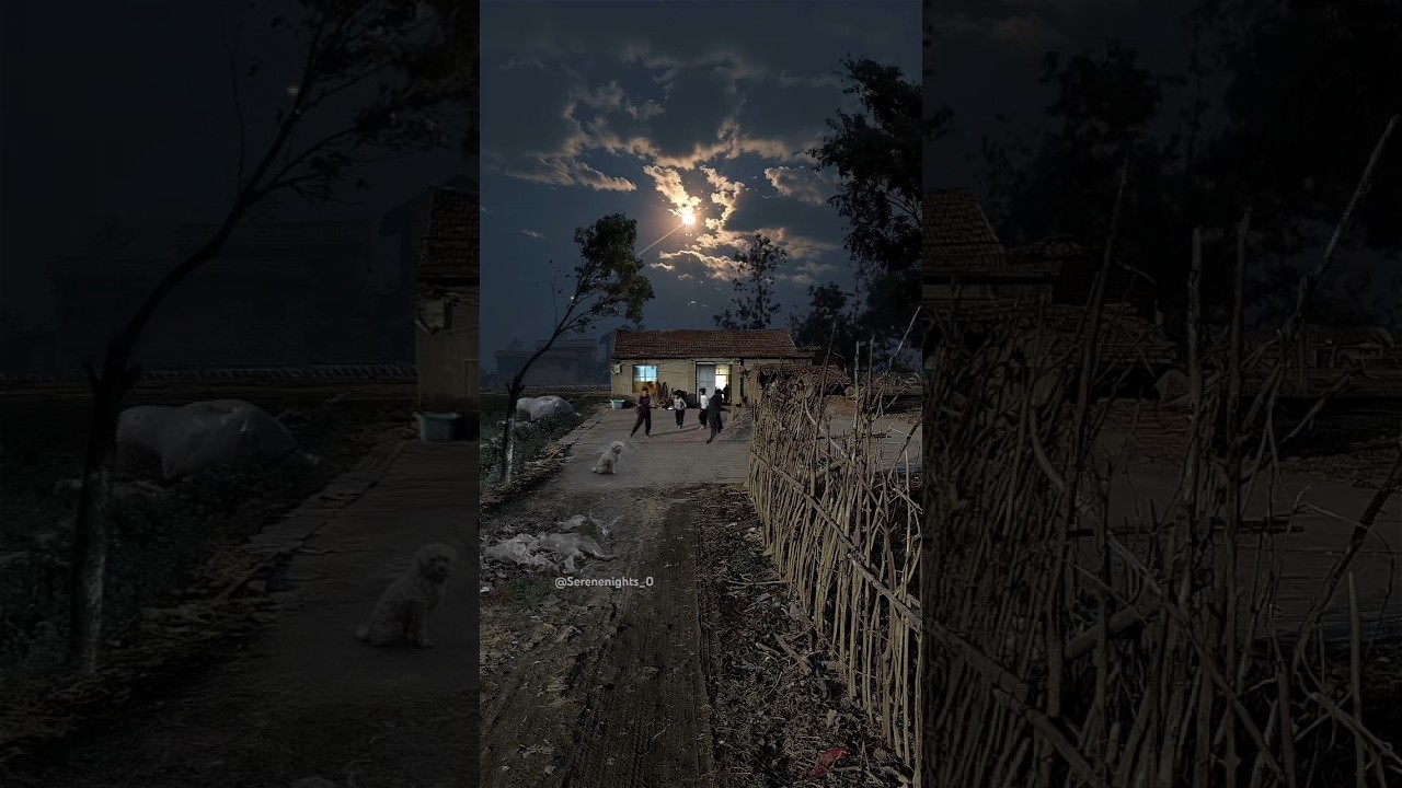Moonlit Childhood Memories 🌕✨ | A Trip Down Memory Lane #nostalgia #nature #childhood #ruralvibes