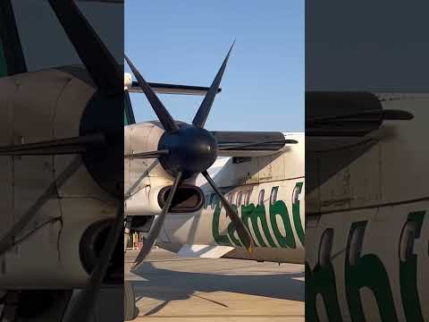 Zambia Airways #themigrantwolf #zambia #africa #stilldre #inflight #plane #lusaka #