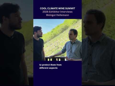 Full interview with Mittelrhein winemaker Heilemann on our page. #winery #winemaker #wine