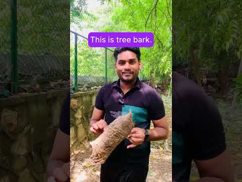 Vocabulary related to nature #english #learnenglish #vocabulary #youtubeshorts #grammar
